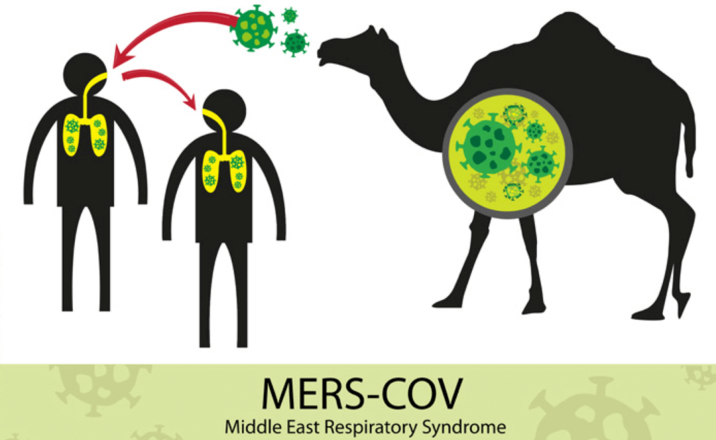 In-Depth Overview of Middle East Respiratory Syndrome (MERS)